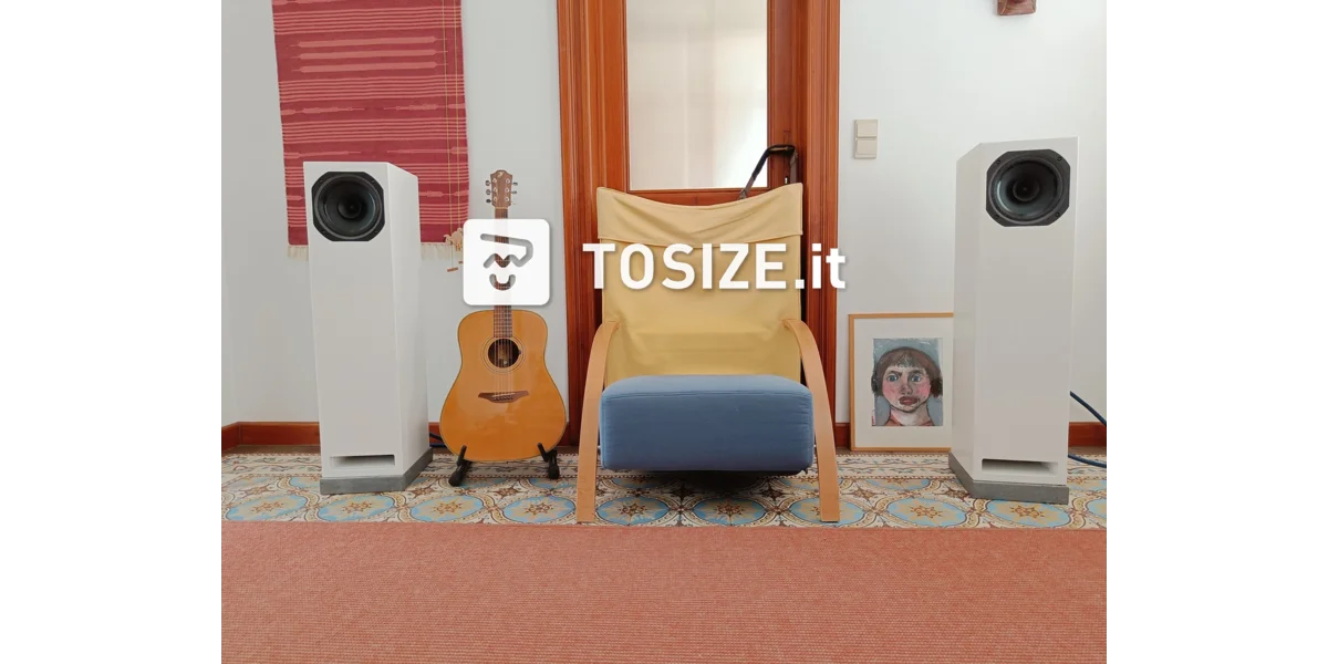 Una cassa armonica personalizzata a gamma completa realizzata in MDF ...